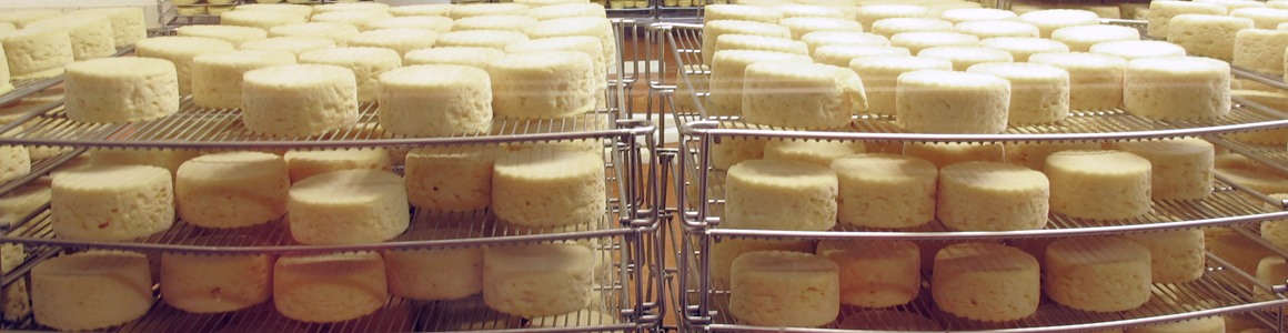 Achieve Food Safety Success | HART Design & Manufacturing