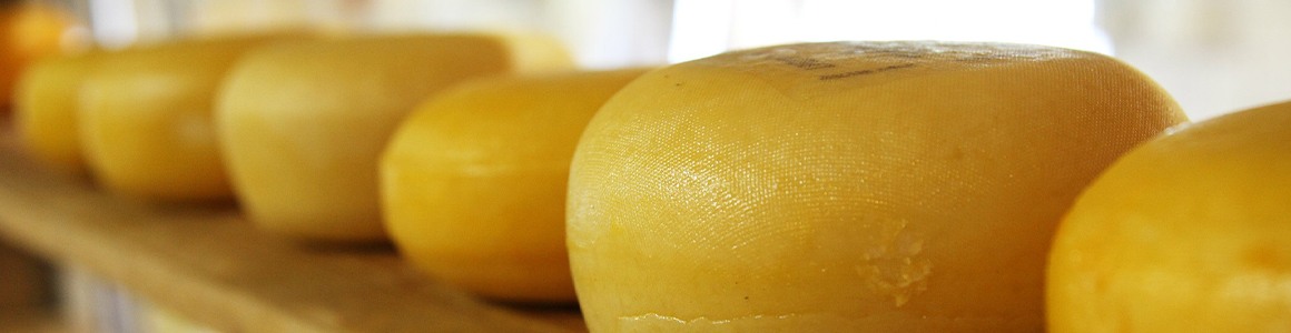 Higher Cheese Prices and Rising Milk Prices - HART