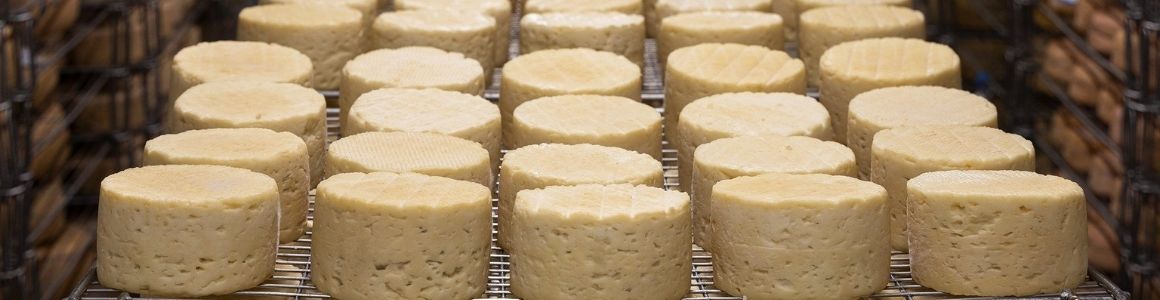 Cheese Makers Find Success With Cold Pack Cheese | HART