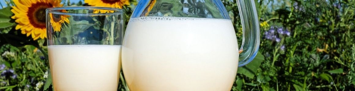 The Meteoric Rise Of Texas Milk Production - HART Design