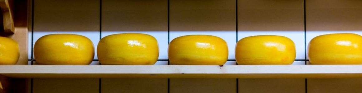 Maintain High-Quality Cheese Brines - HART Design & Manufacturing, Inc.