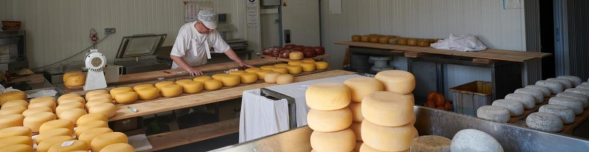 June U.S. Cheese Production Up | HART Design & Manufacturing
