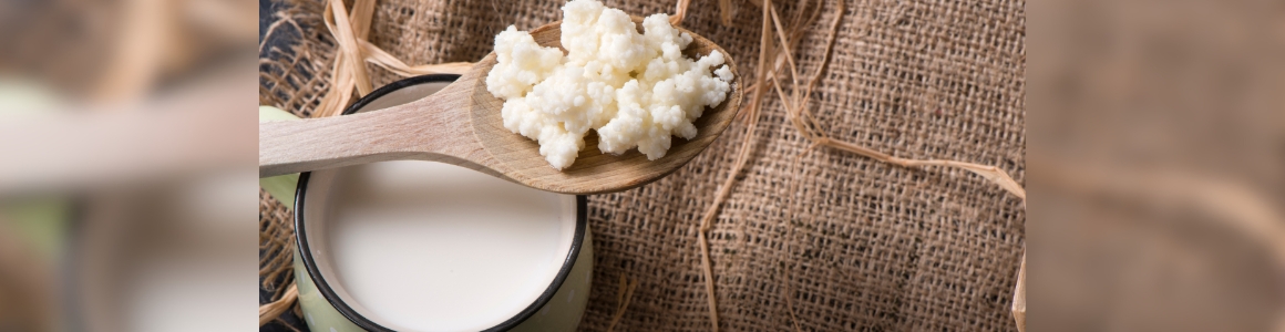 Ancient Kefir Cheese Discovered In 3,600-Year-Old Tombs