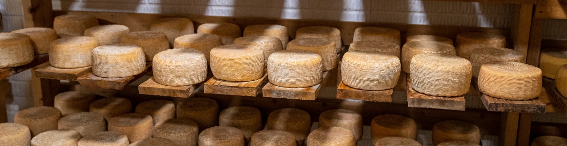 Stolen Cheese Cases Reveal Rise Of Black Market Dairy Heists