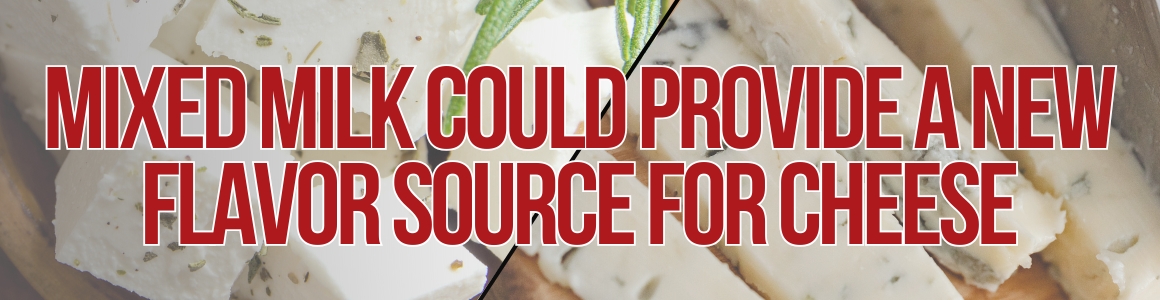 Why Mixed Milk Cheeses Are Growing In Popularity